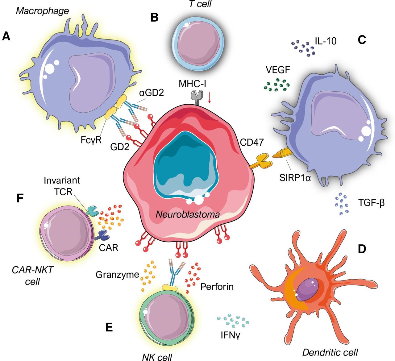 Neuroblastoma: an ongoing cold front for cancer immunotherapy | Journal ...