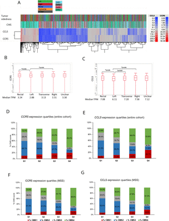 CCR5 and CCL5 gene expression in colorectal cancer: comprehensive ...
