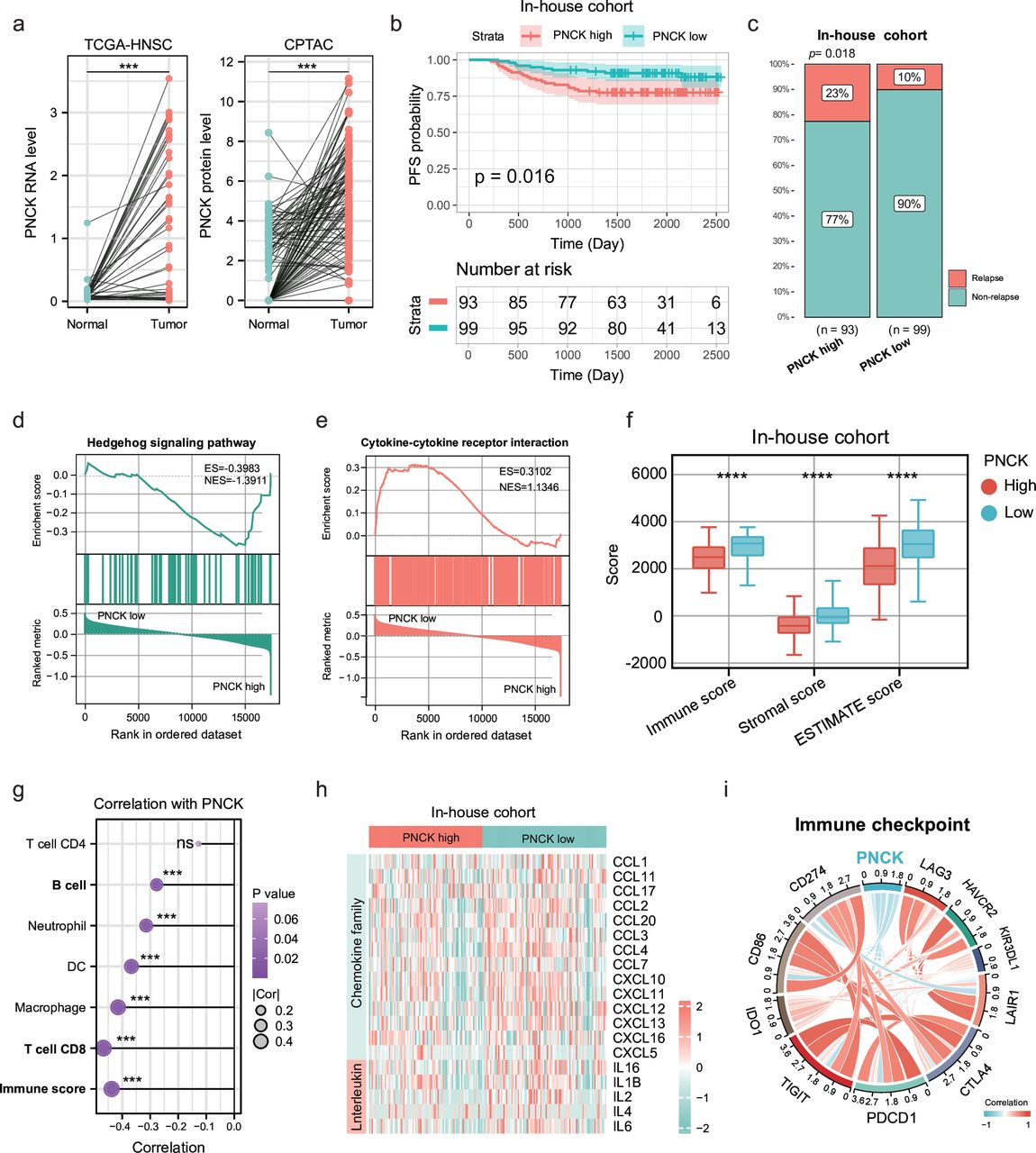 Inhibition of PNCK inflames tumor microenvironment and sensitizes head ...