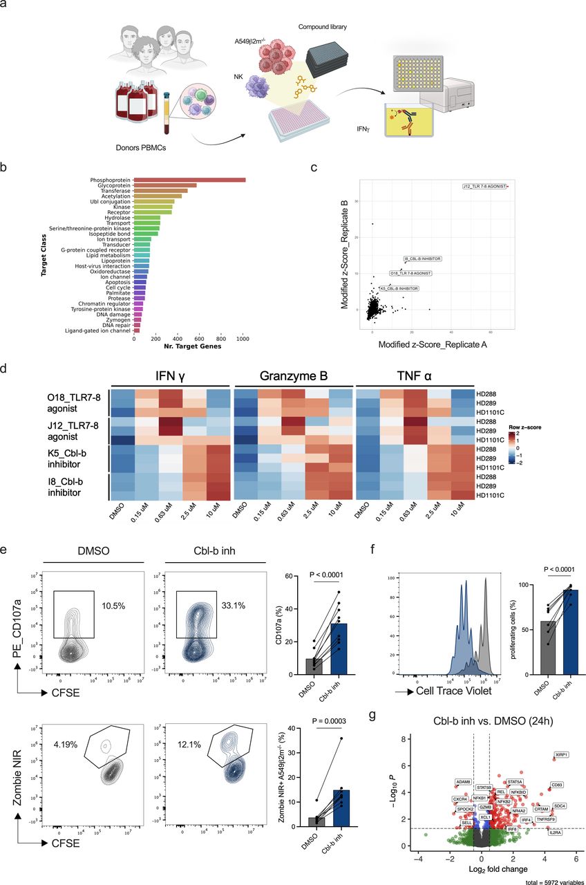 Inhibition of Cbl-b restores effector functions of human intratumoral ...