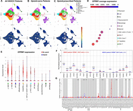 Morphine treatment restricts response to immunotherapy in oral squamous ...
