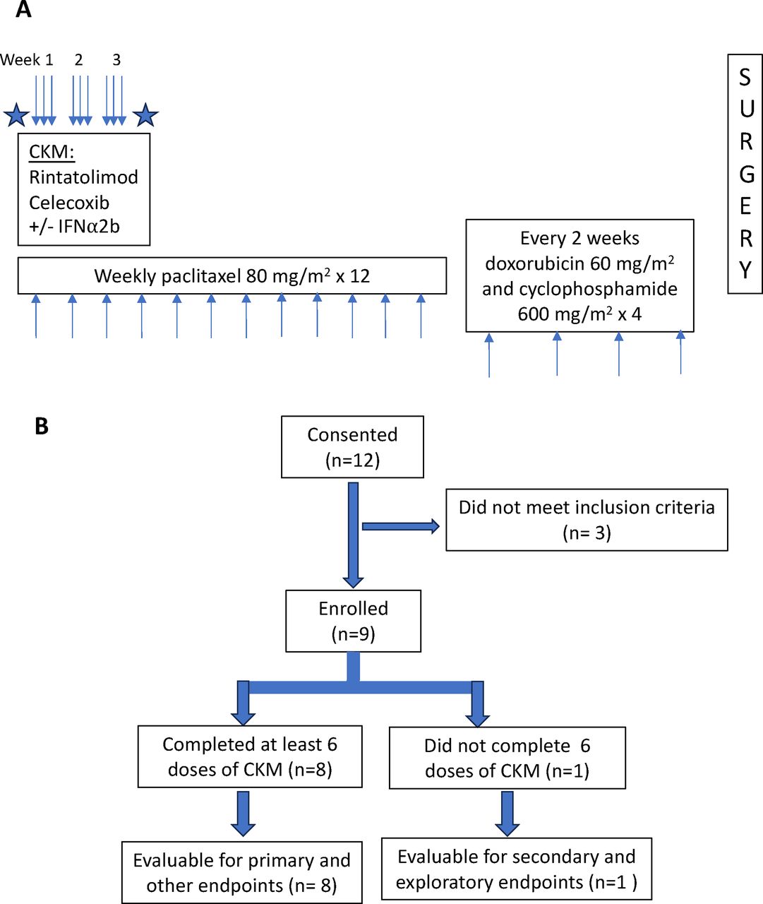 Systemic chemokine-modulatory regimen combined with neoadjuvant ...