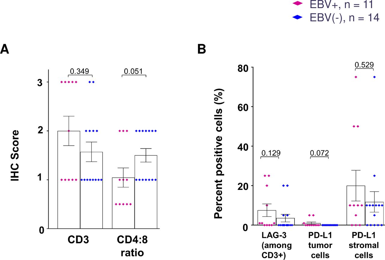 Immune microenvironment of Epstein-Barr virus (EBV)-negative compared ...