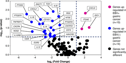 Immune microenvironment of Epstein-Barr virus (EBV)-negative compared ...