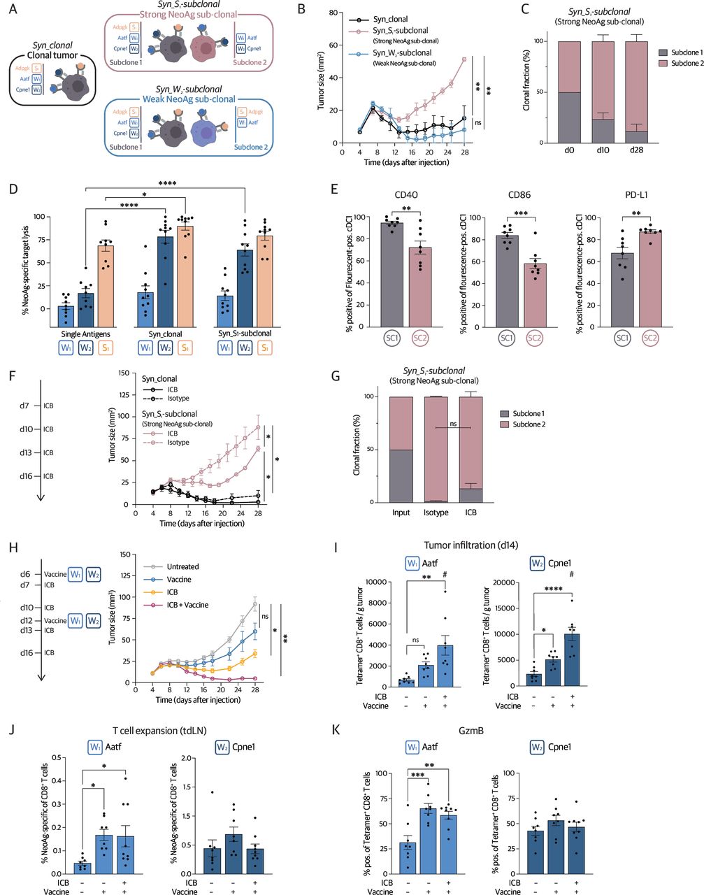 Neoantigen architectures define immunogenicity and drive immune evasion ...