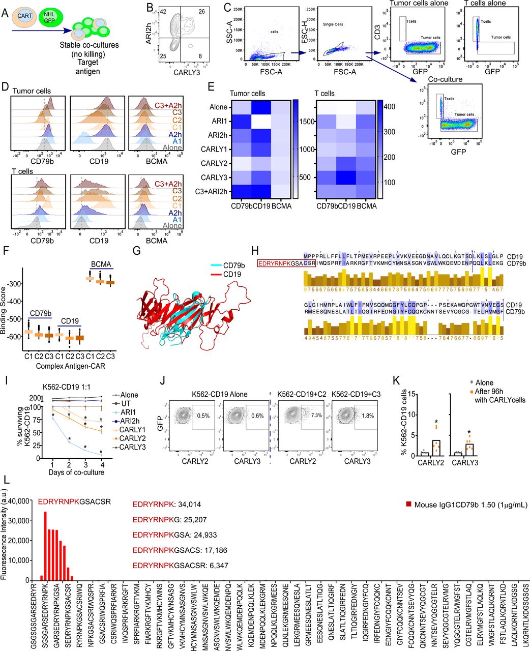 Preclinical development of three novel CARs targeting CD79b for the ...