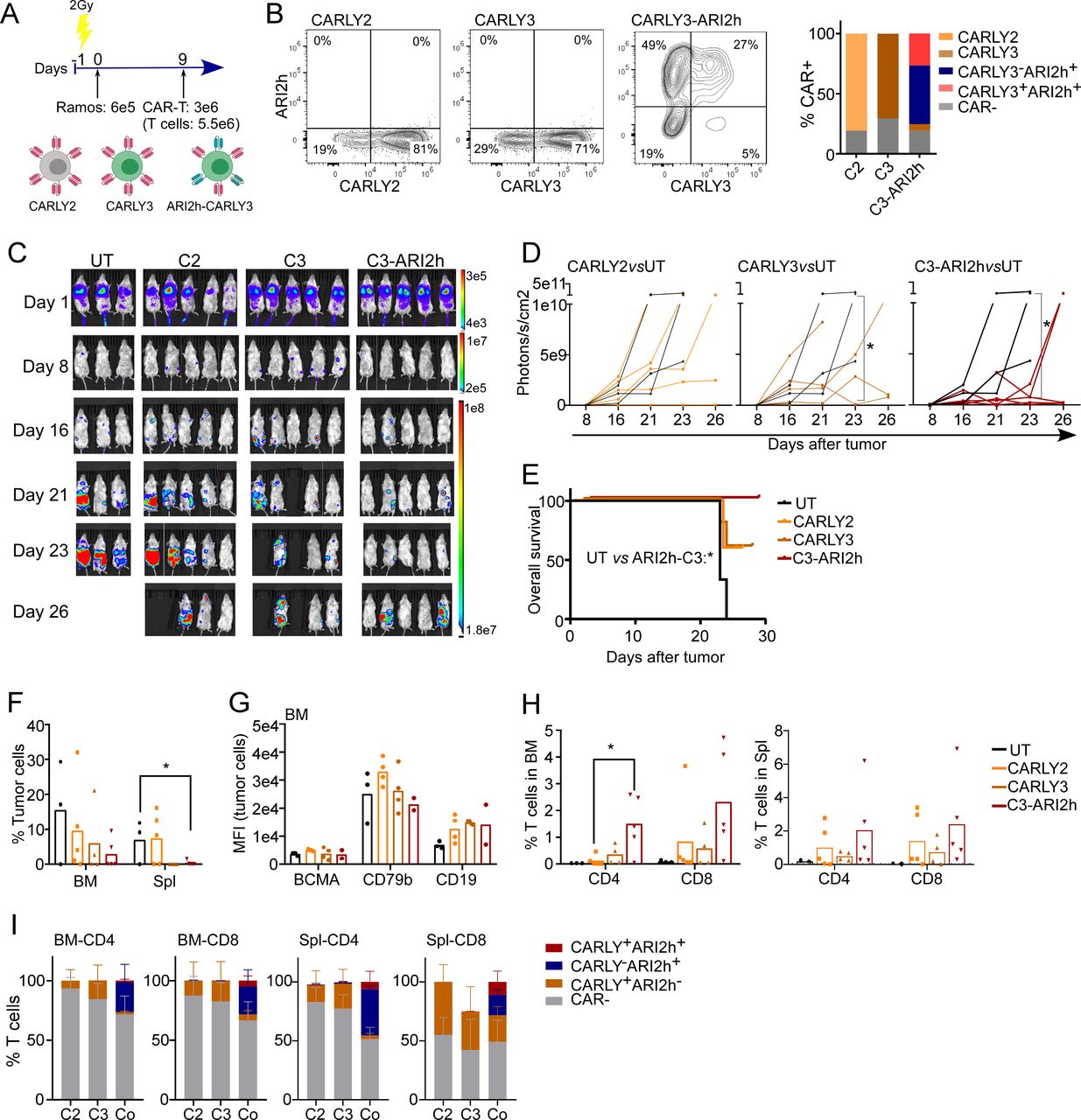 Preclinical development of three novel CARs targeting CD79b for the ...