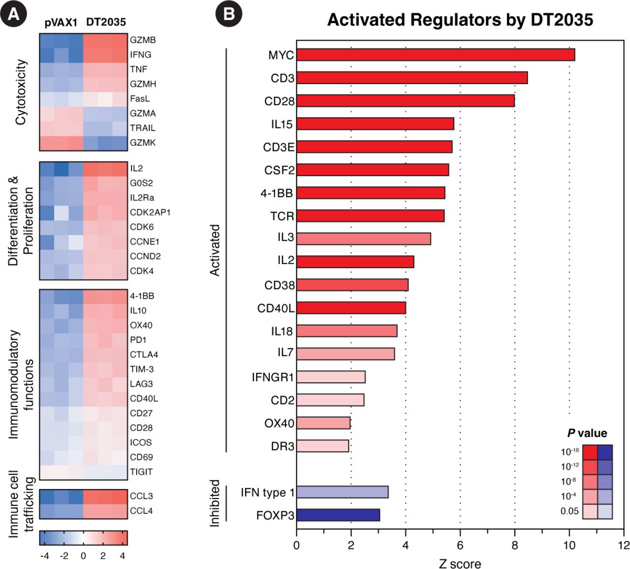 Novel tri-specific T-cell engager targeting IL-13Rα2 and EGFRvIII ...
