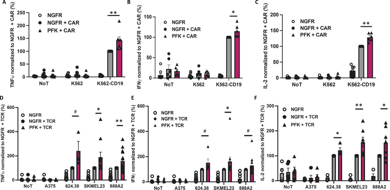 Genetically engineering glycolysis in T cells increases their antitumor function | Journal for ...