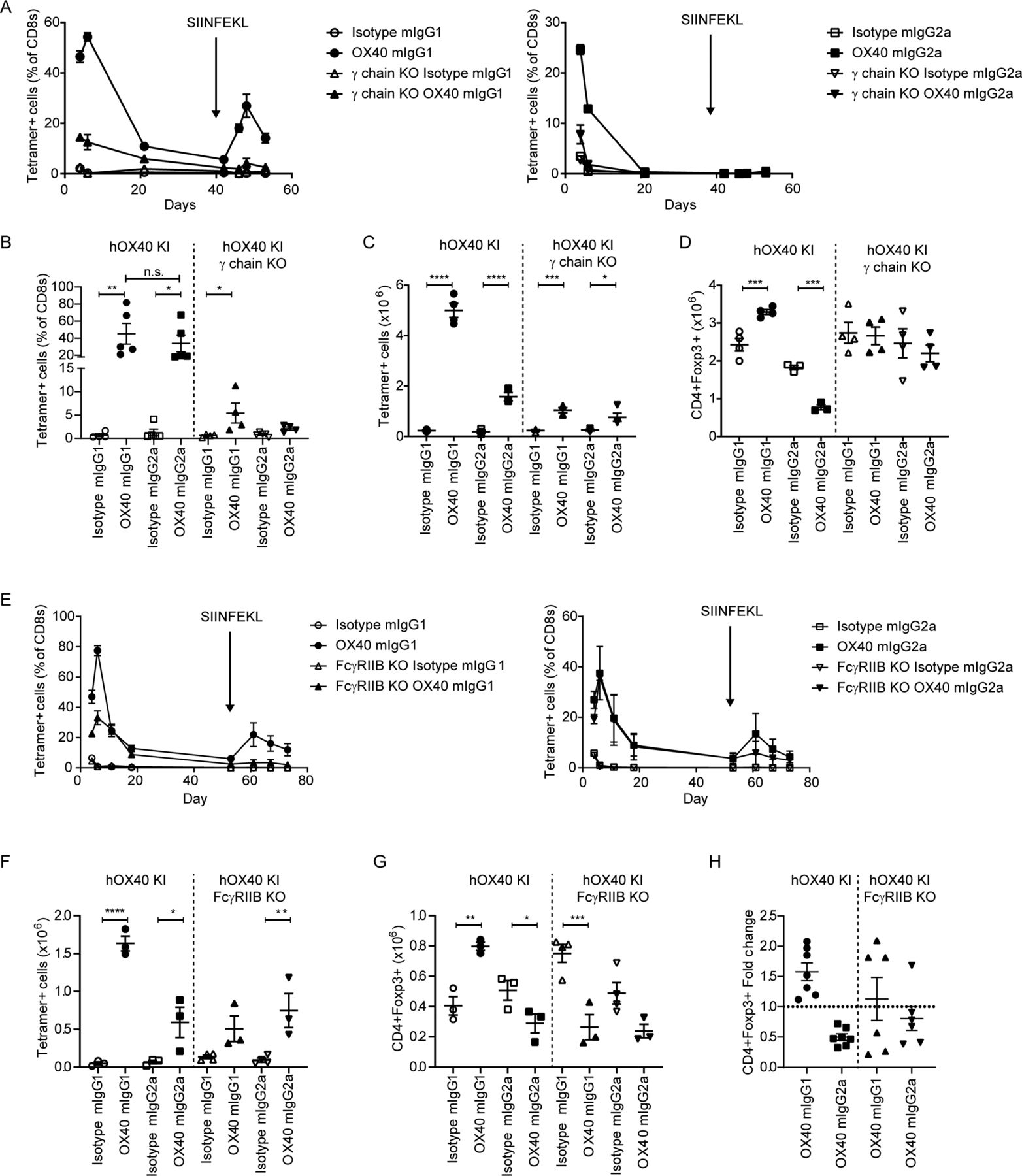 Impact of isotype on the mechanism of action of agonist anti-OX40 ...