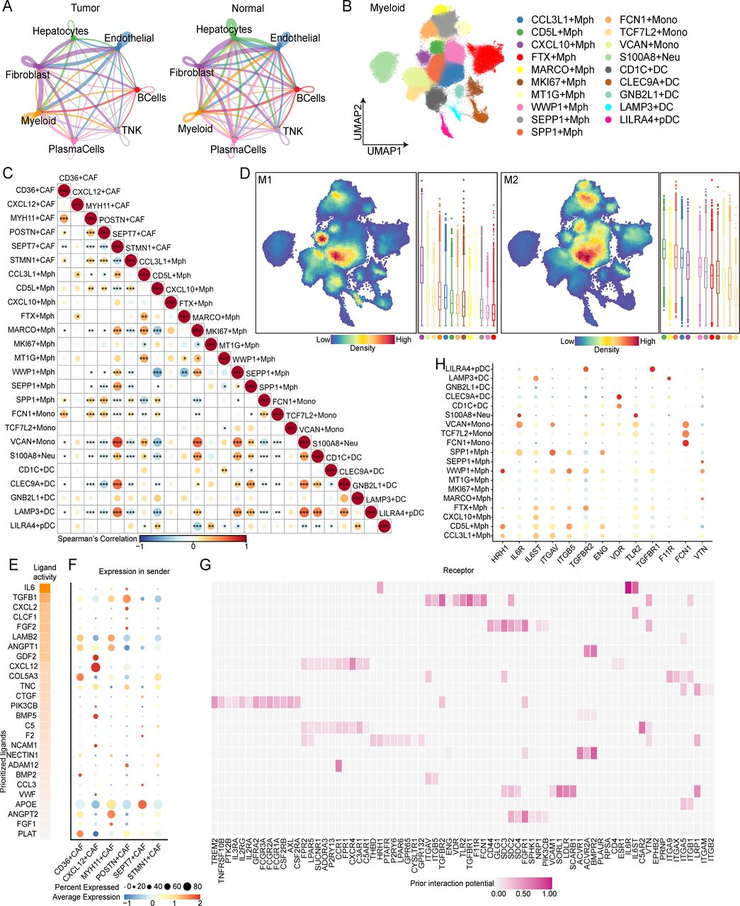 POSTN+ cancer-associated fibroblasts determine the efficacy of ...