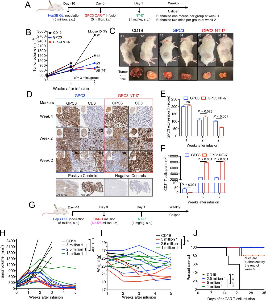 rhIL-7-hyFc, a long-acting interleukin-7, improves efficacy of CAR-T ...