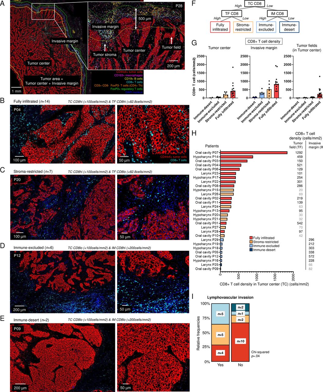 Immune cell topography of head and neck cancer | Journal for ...