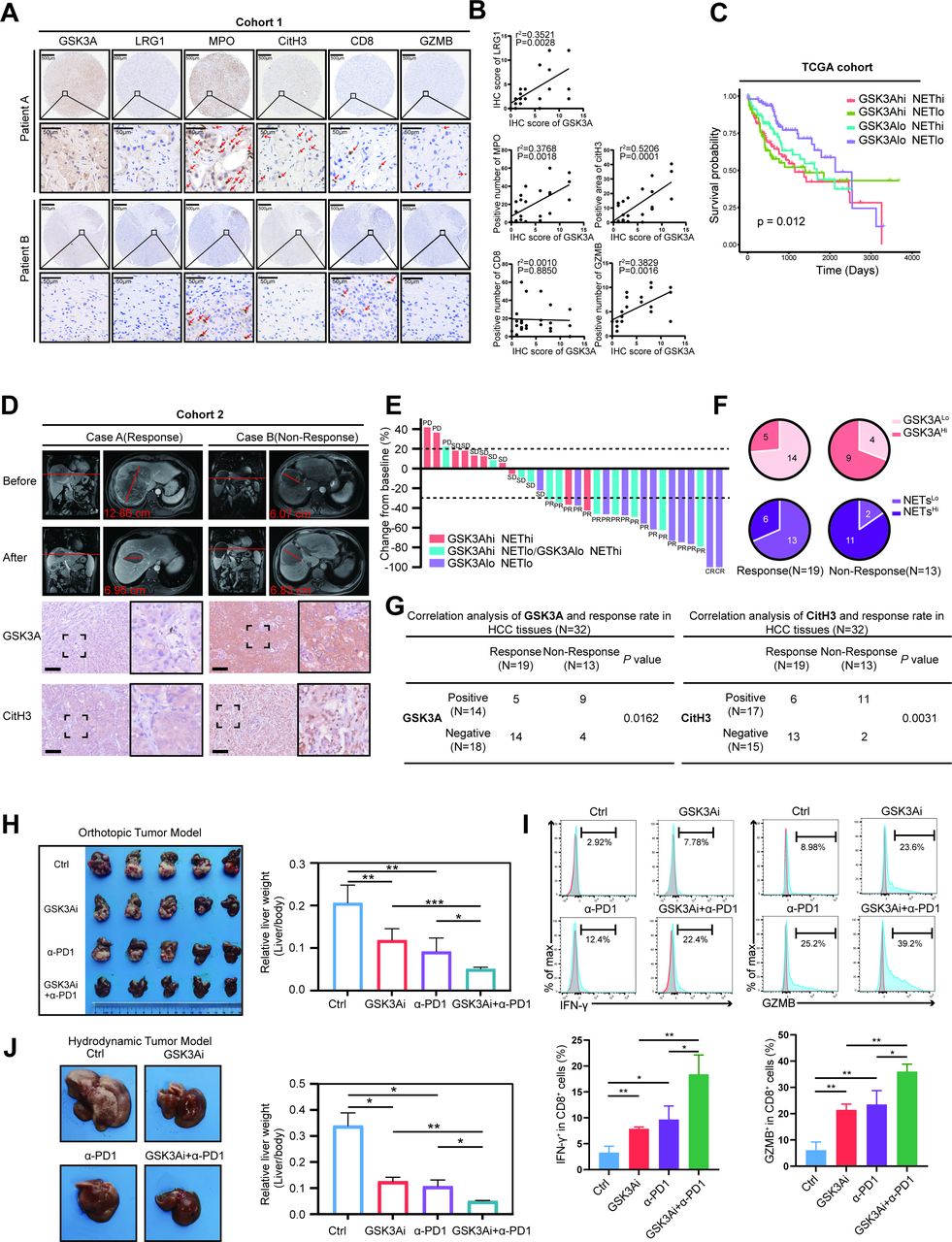 Targeting Gsk3a reverses immune evasion to enhance immunotherapy in ...