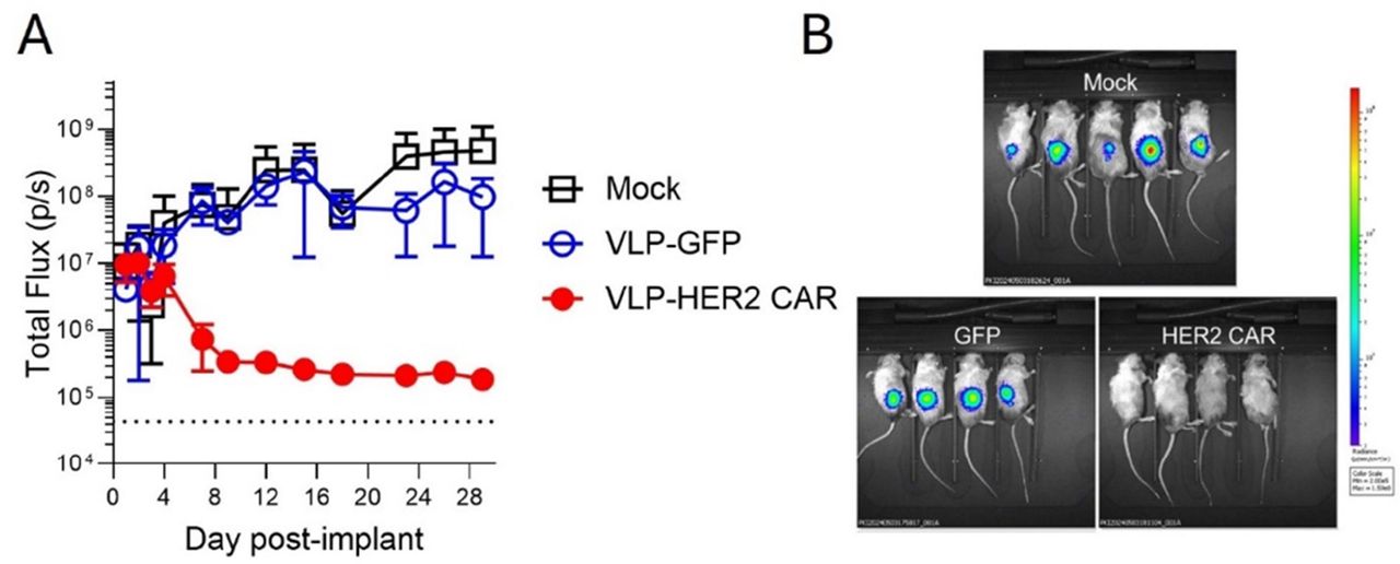 1098 In vivo VLP-based engineering generates multi-lineage CAR-immune ...