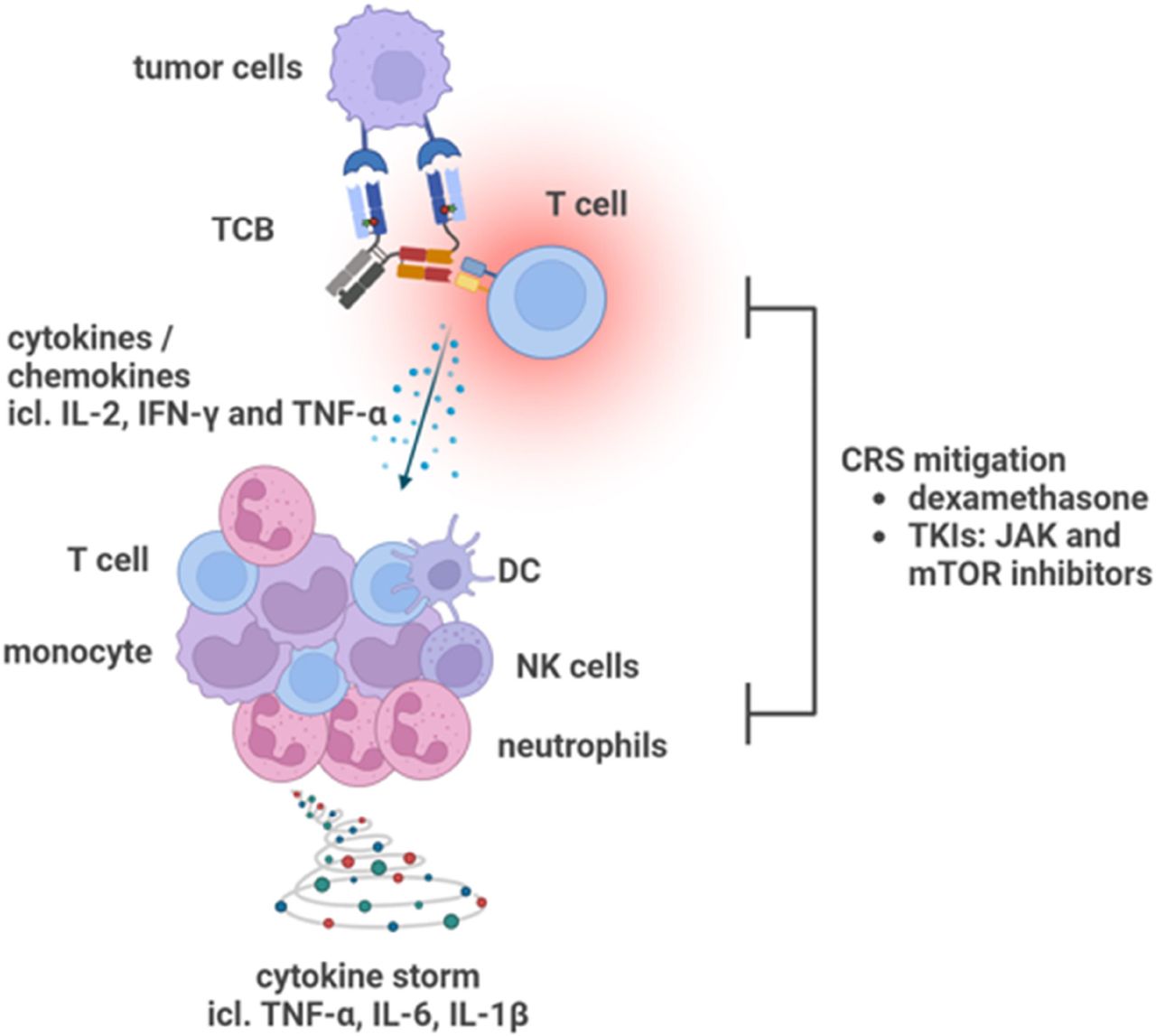 1171 Understanding and mitigating the cytokine release syndrome (CRS ...