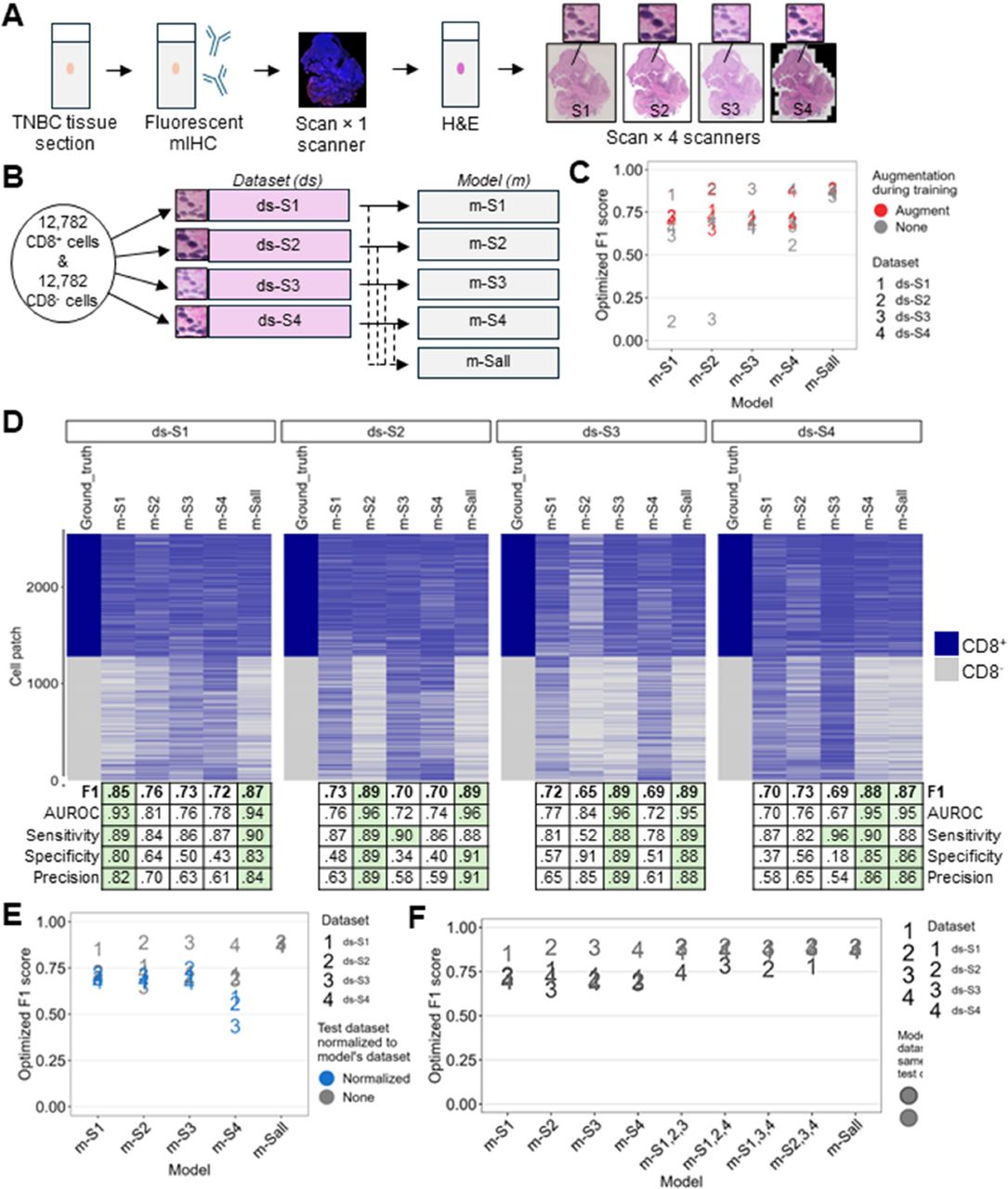 1249 Improving CD8+ cell detection in spatial immunology with generalizable H&E deep learning ...