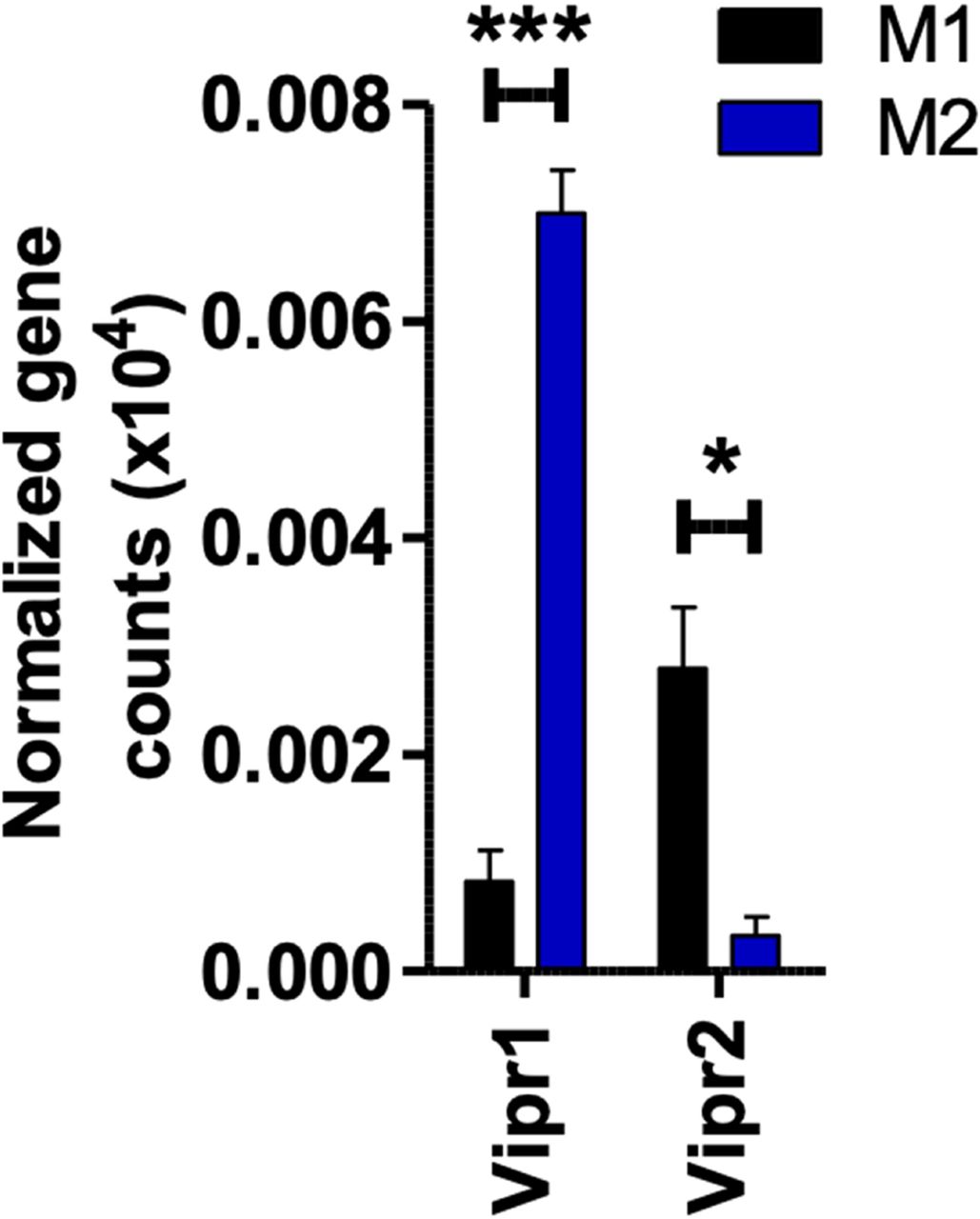 1347 VIP Biology drive prognosis in AML patients | Journal for ...
