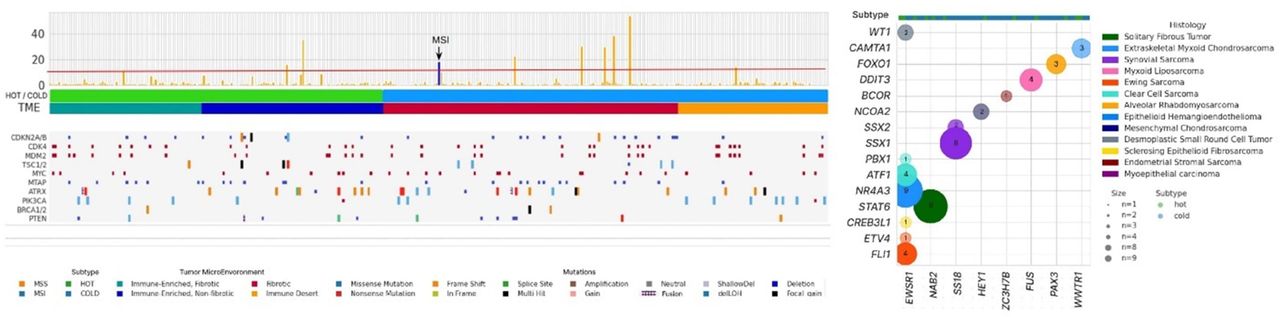 183 Comprehensive molecular profiling in the management of patients ...