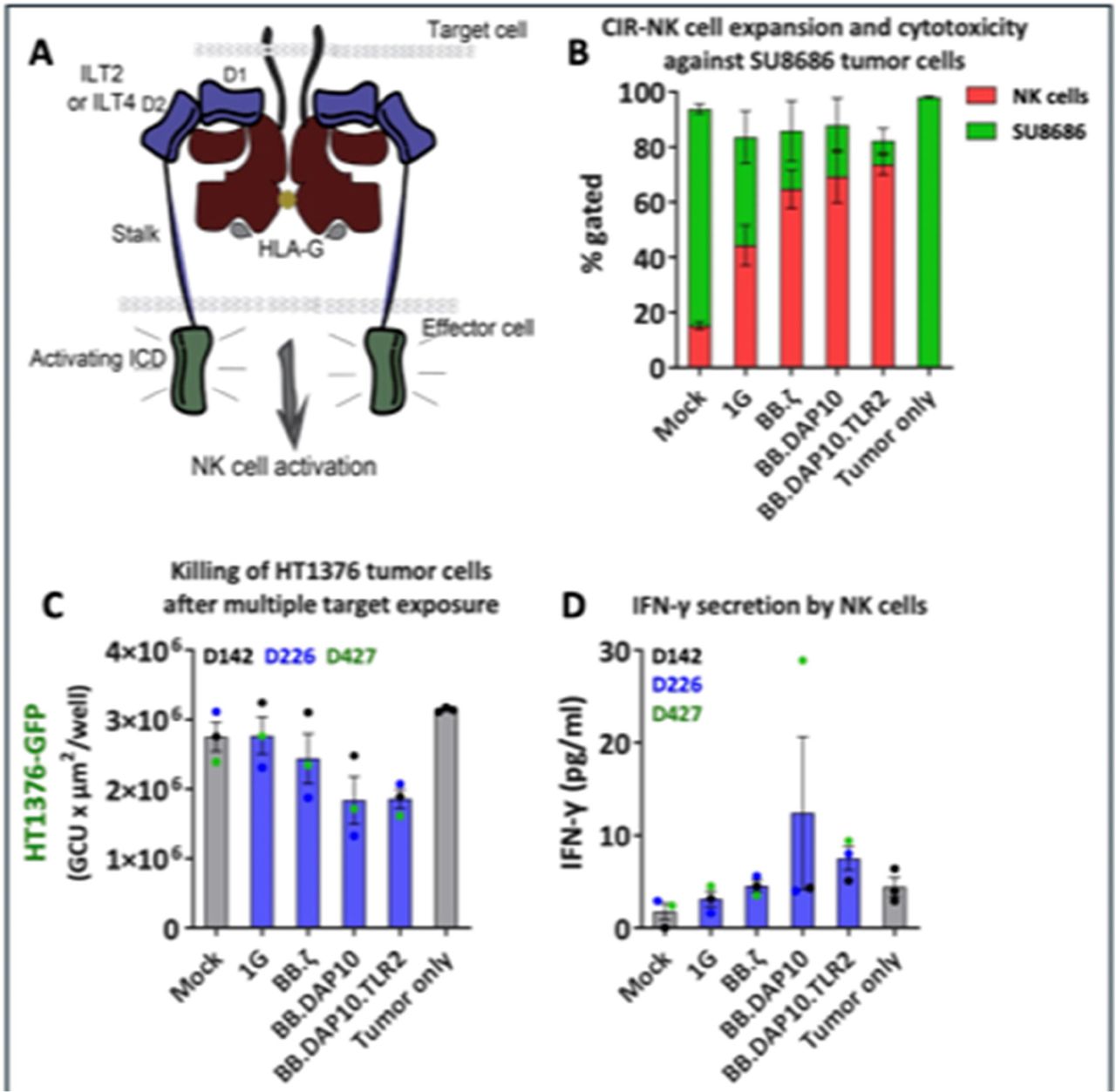 307 Natural killer cells expressing chimeric ILT receptor (CIR ...