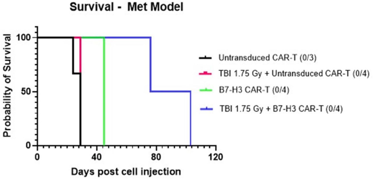 315 Improving pediatric neuroblastoma immunotherapy outcome by using B7 ...