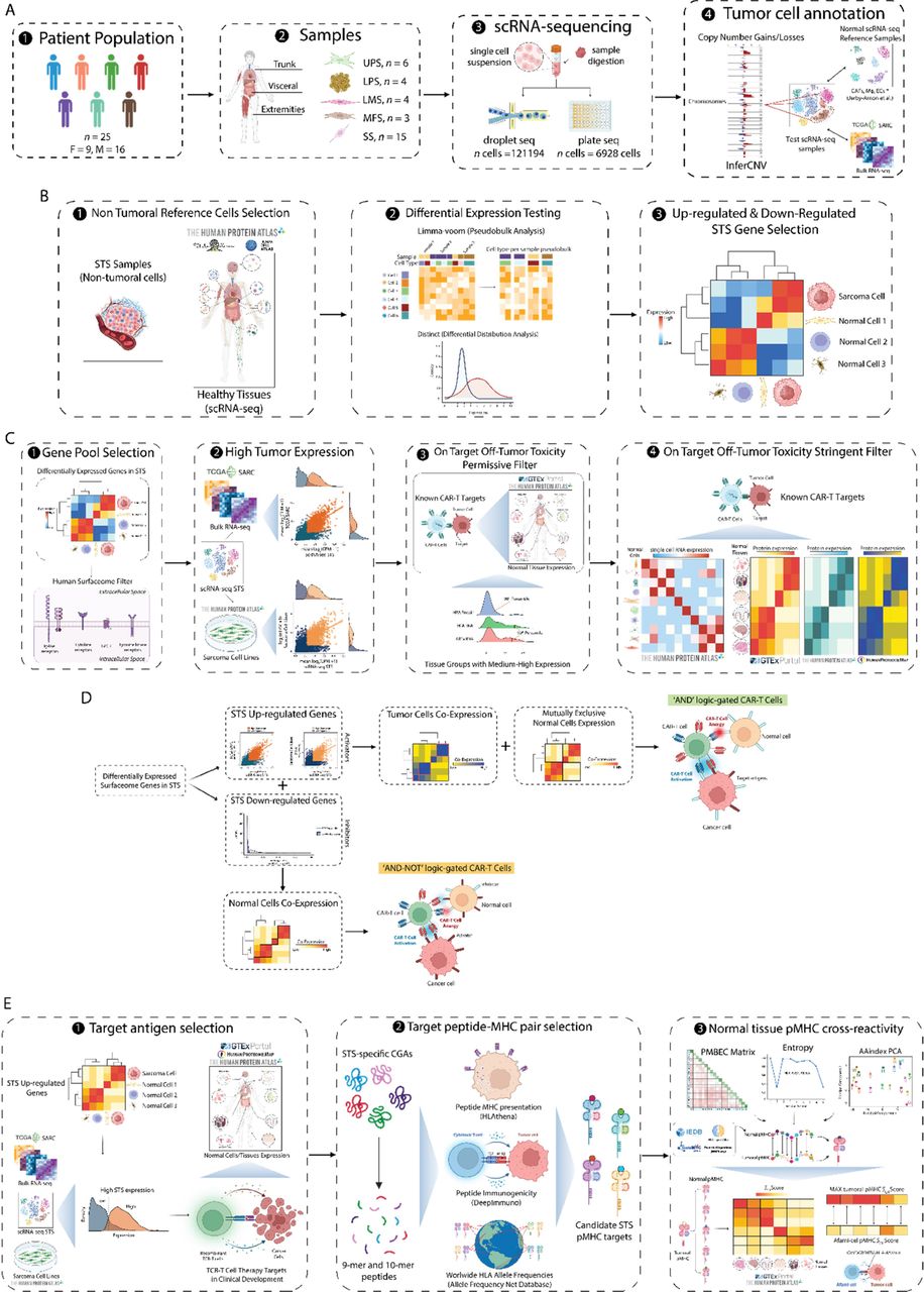 325 CellSARCTx: a single-cell transcriptomics atlas of adoptive ...