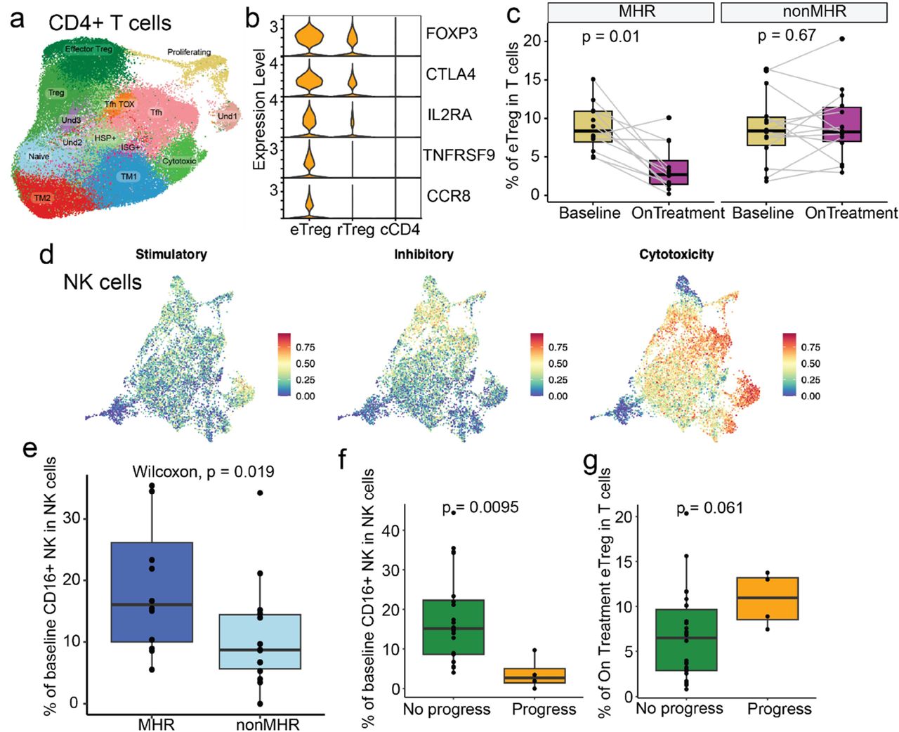 553 Depletion of effector regulatory T cells drives major response to ...