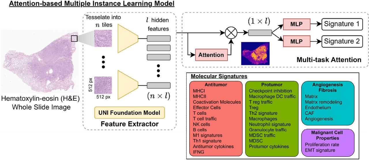 77 Predicting the tumor microenvironment molecular composition to ...