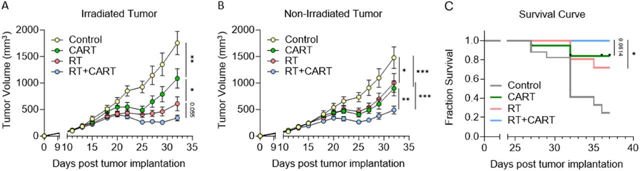 779 Local radiation enhances systemic CAR T cell efficacy by augmenting ...