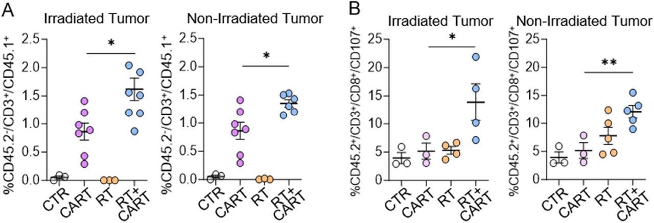 779 Local radiation enhances systemic CAR T cell efficacy by augmenting ...
