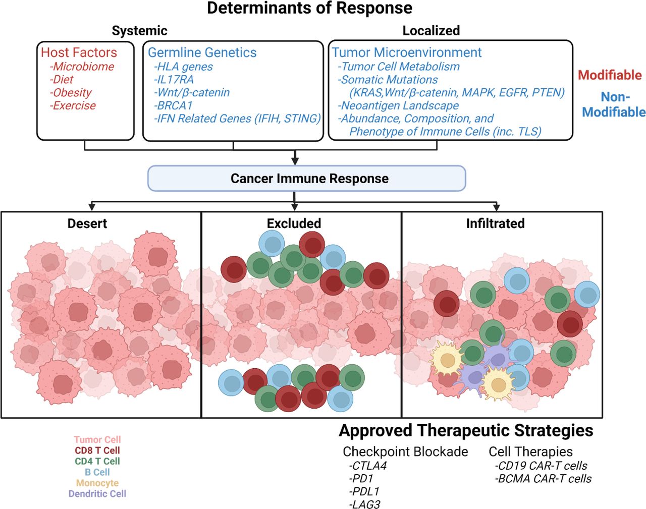 Advances in the understanding and therapeutic manipulation of cancer ...
