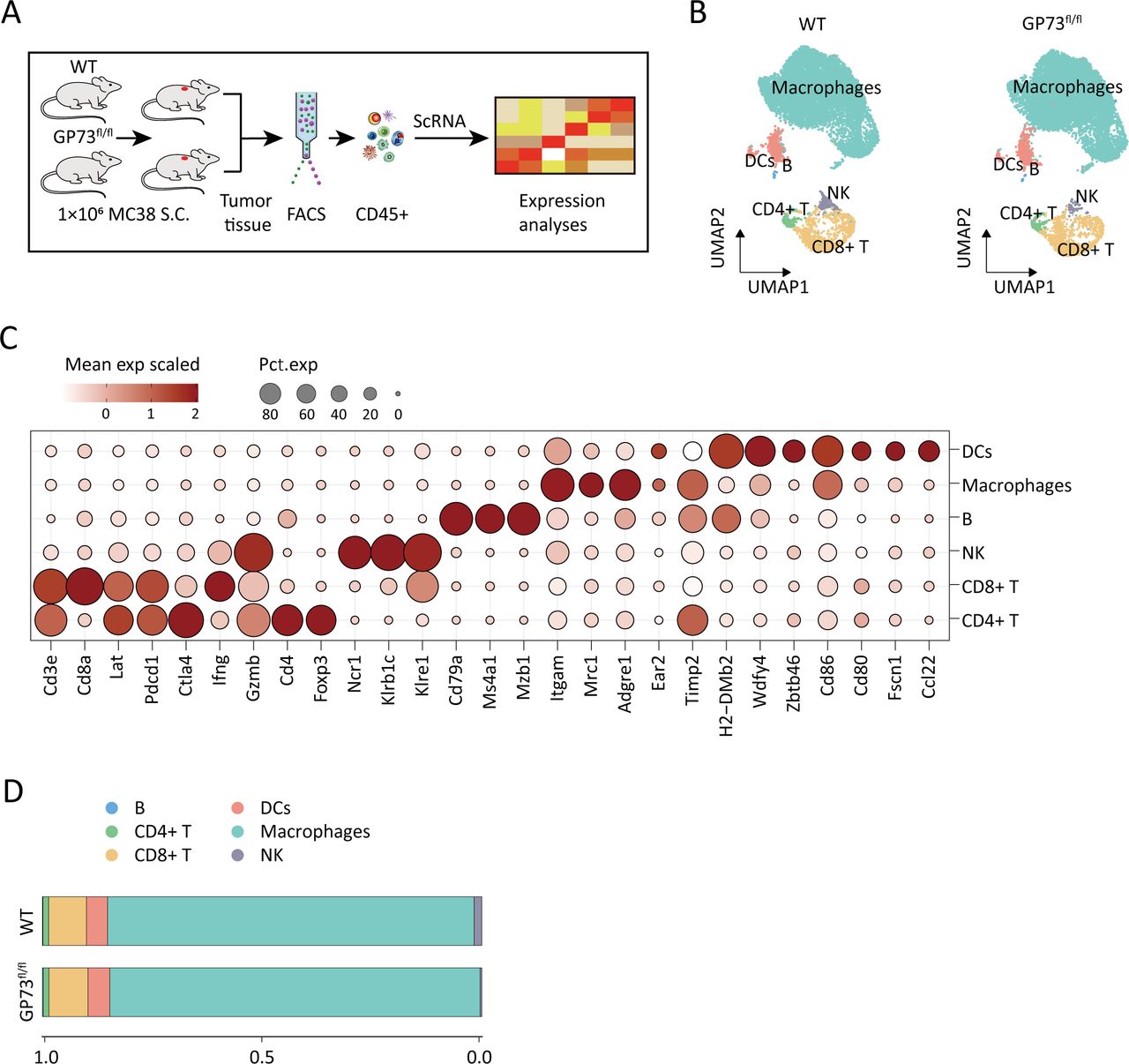 GP73 reinforces cytotoxic T-cell function by regulating HIF-1α and ...