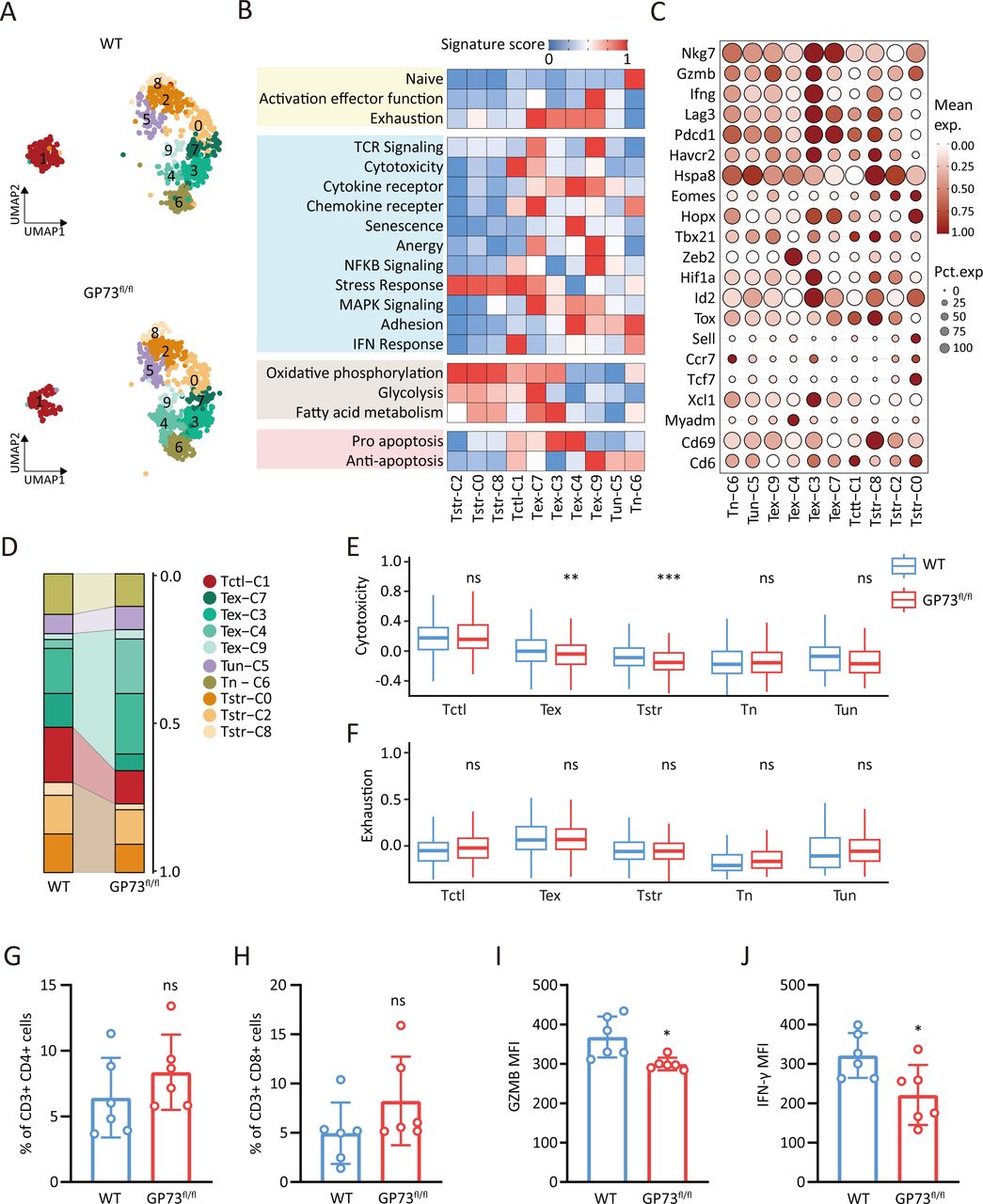 GP73 reinforces cytotoxic T-cell function by regulating HIF-1α and ...