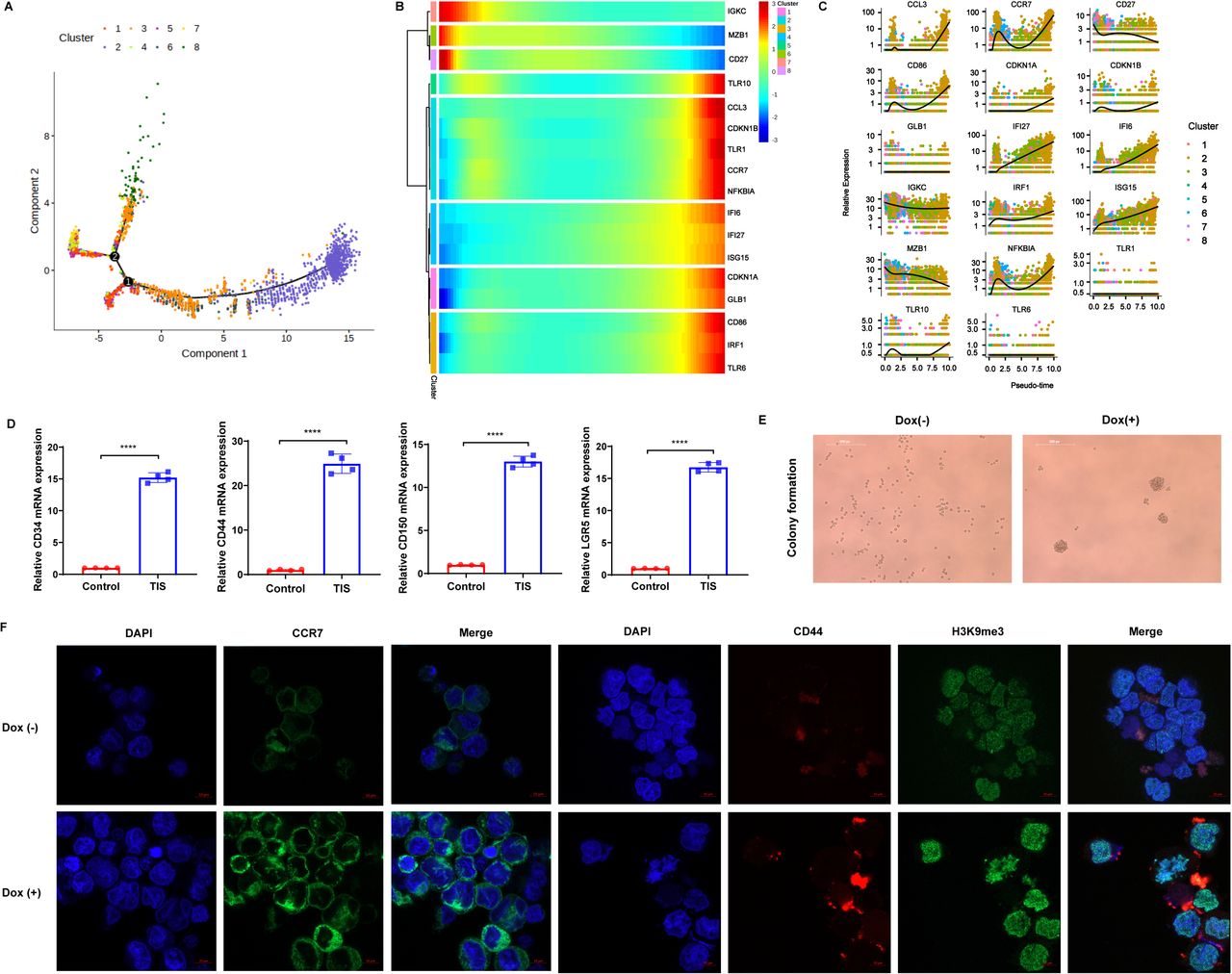 Chemotherapy-induced cellular senescence promotes stemness of ...