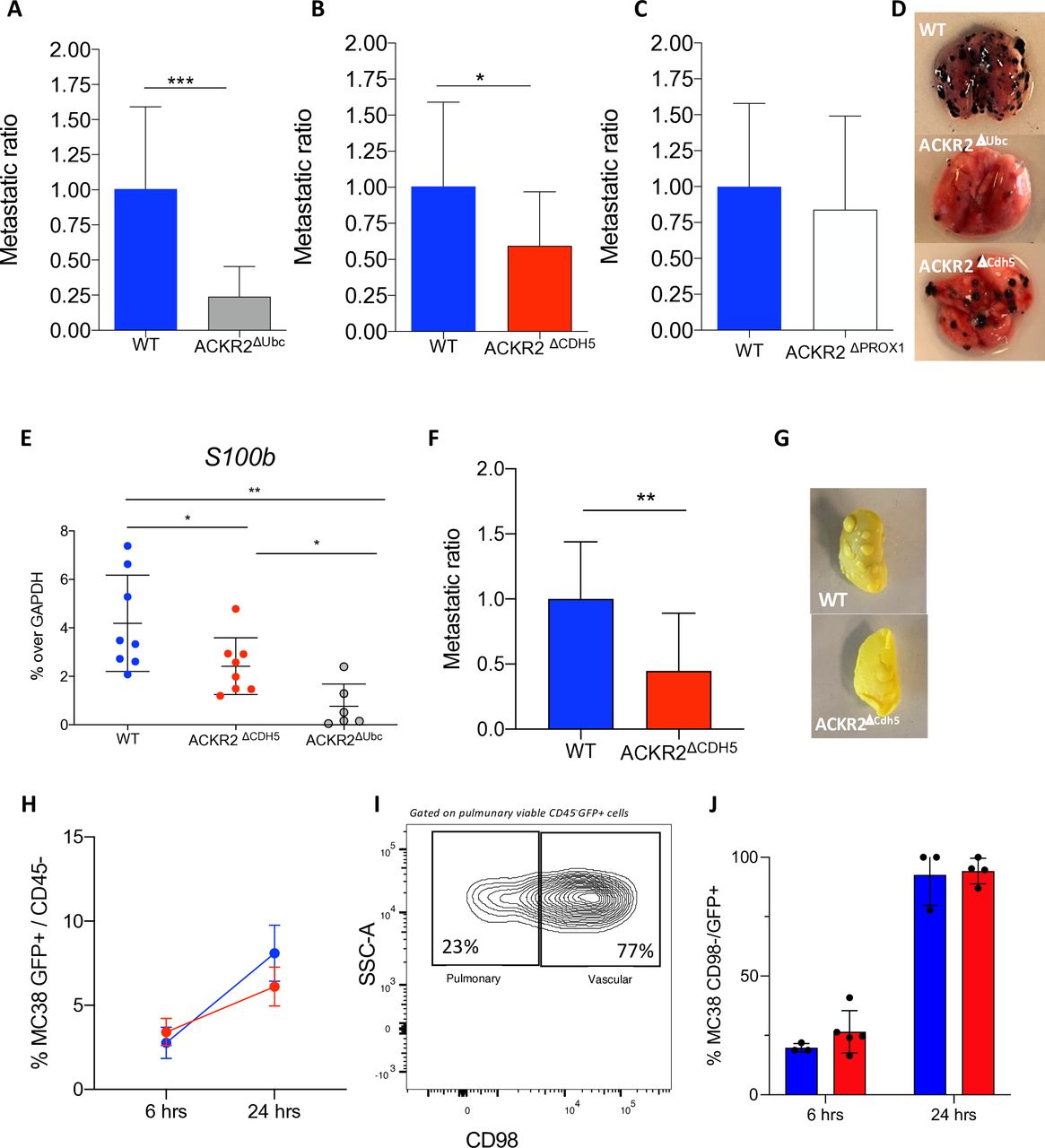 Selective expression and significance of ACKR2 in lung aerocytes ...