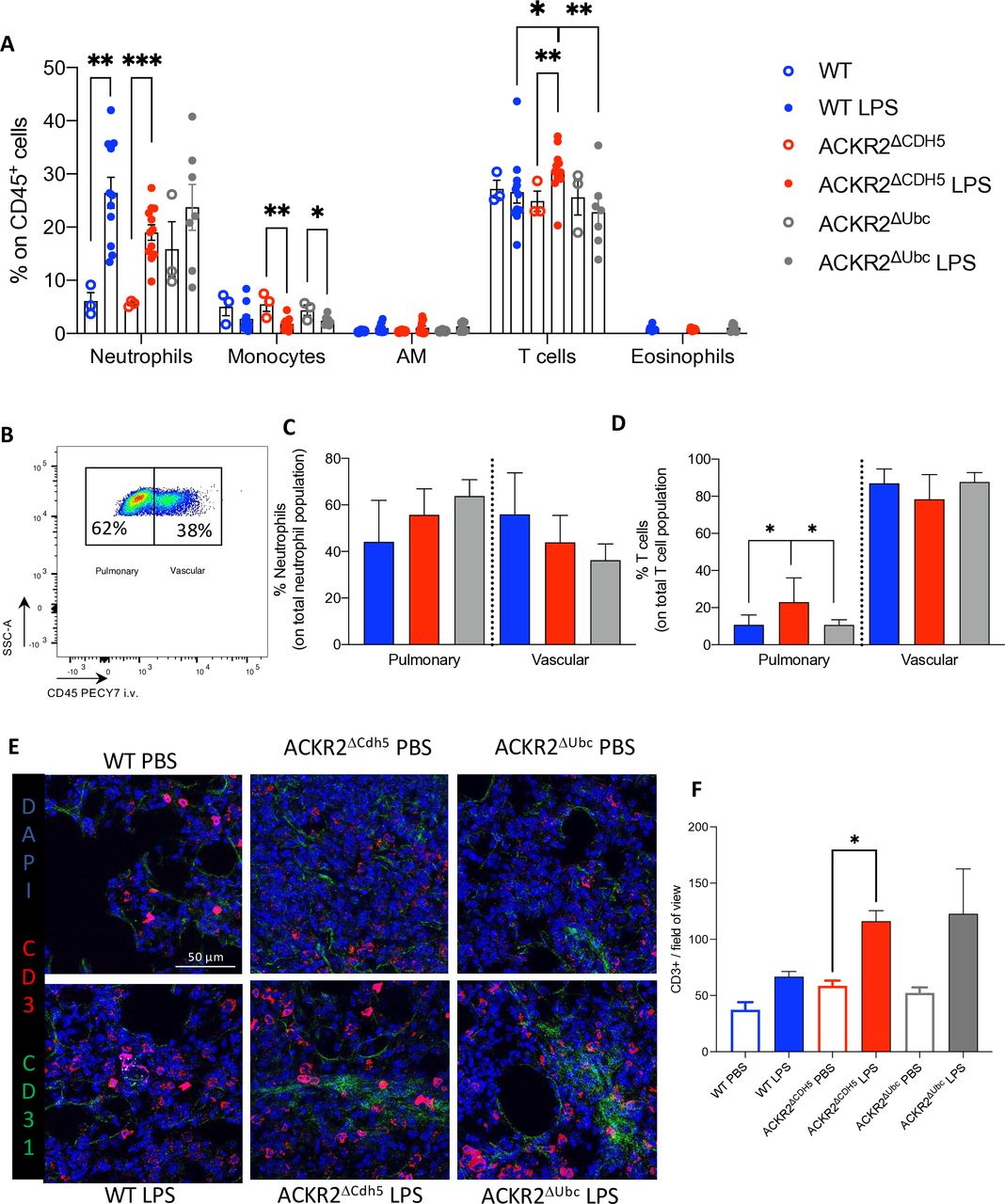 Selective expression and significance of ACKR2 in lung aerocytes ...
