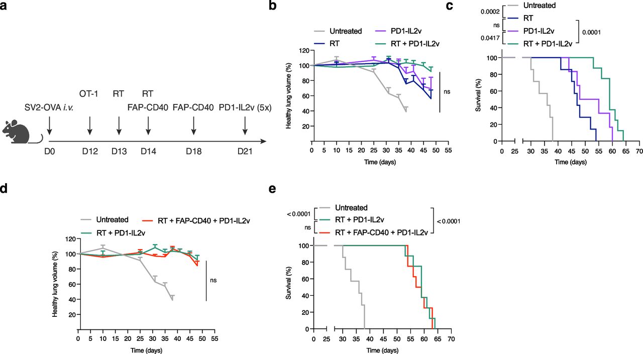 PD-1 cis-targeted IL-2v in combination with radiotherapy inhibits lung ...