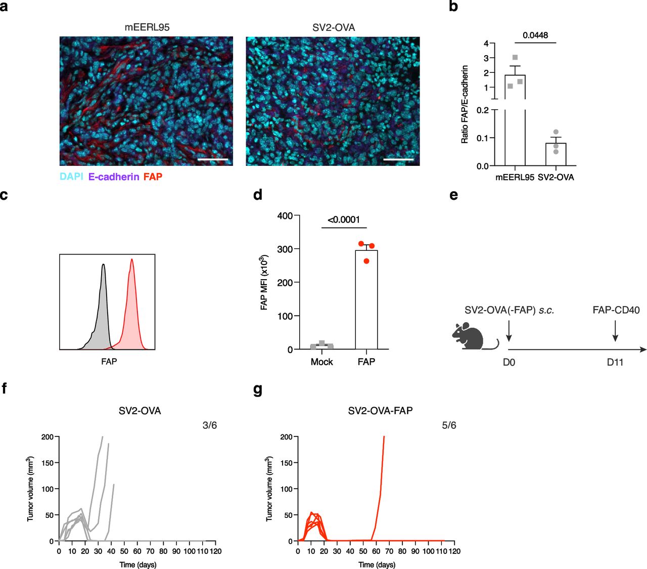 PD-1 cis-targeted IL-2v in combination with radiotherapy inhibits lung ...