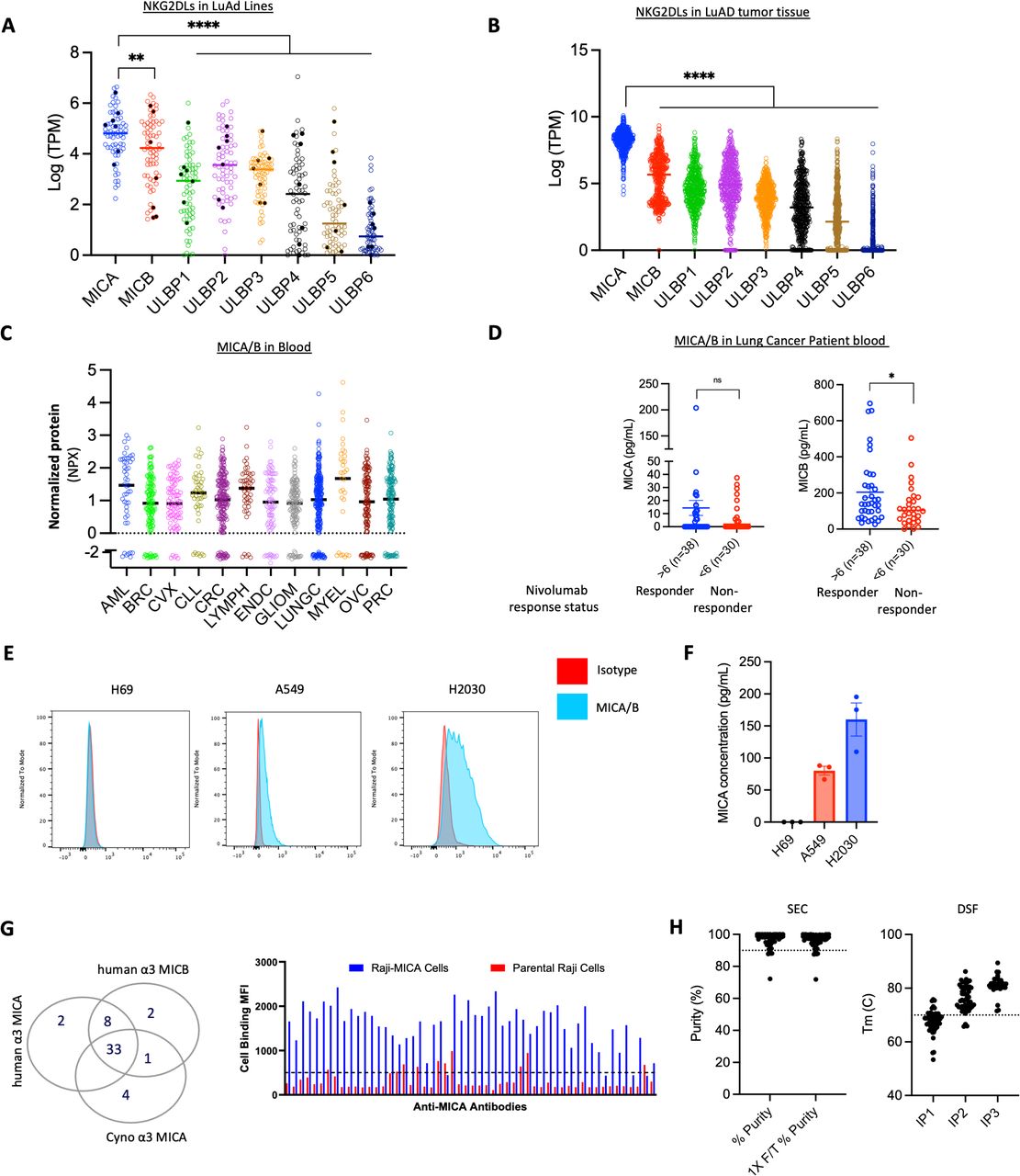 Novel and potent MICA/B antibody is therapeutically effective in KRAS ...