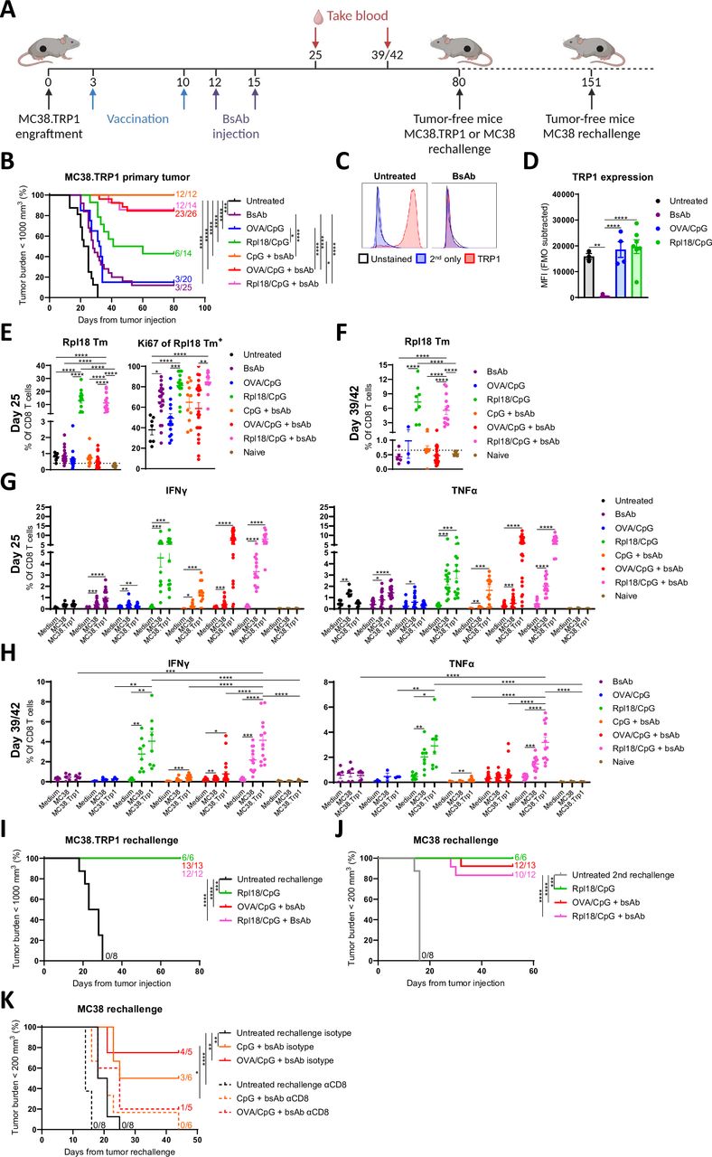 Cancer vaccines compensate for the insufficient induction of protective ...