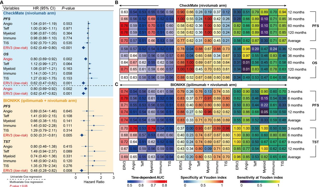 Stratification system with dual human endogenous retroviruses for ...