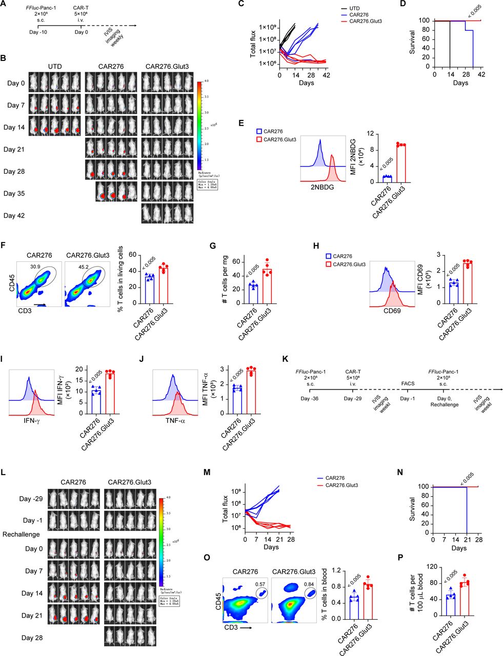 Glut3 overexpression improves environmental glucose uptake and ...