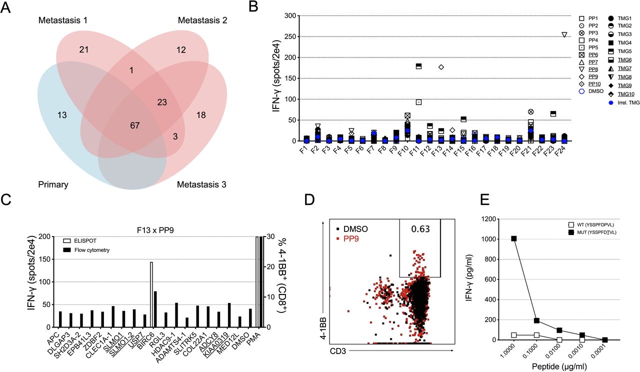 Utilization of primary tumor samples for cancer neoantigen discovery ...