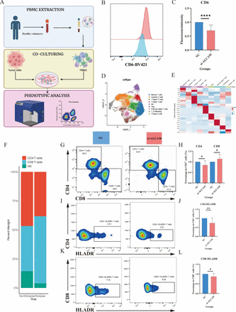 ALCAM-CD6 axis suppression: a key determinant of immune-mediated ...