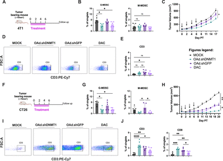 Effect of extracellular vesicles in remodeling the tumor ...