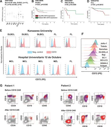 Affinity-matured CD72-targeting nanobody CAR T cells enhance ...
