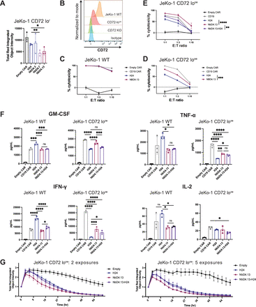 Affinity-matured CD72-targeting nanobody CAR T cells enhance ...