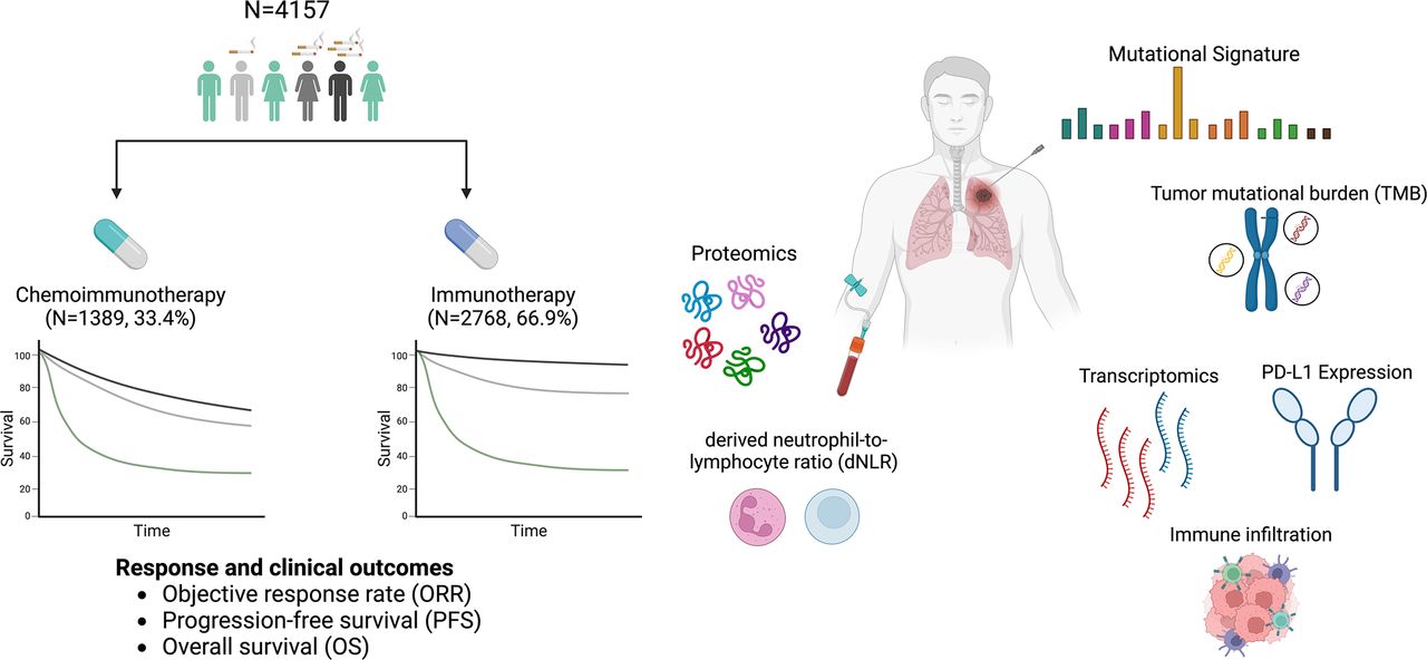 Multi-omics analysis reveals differential benefits of immunotherapy± ...