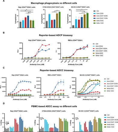 Harnessing the innate immune system: a novel bispecific antibody ...