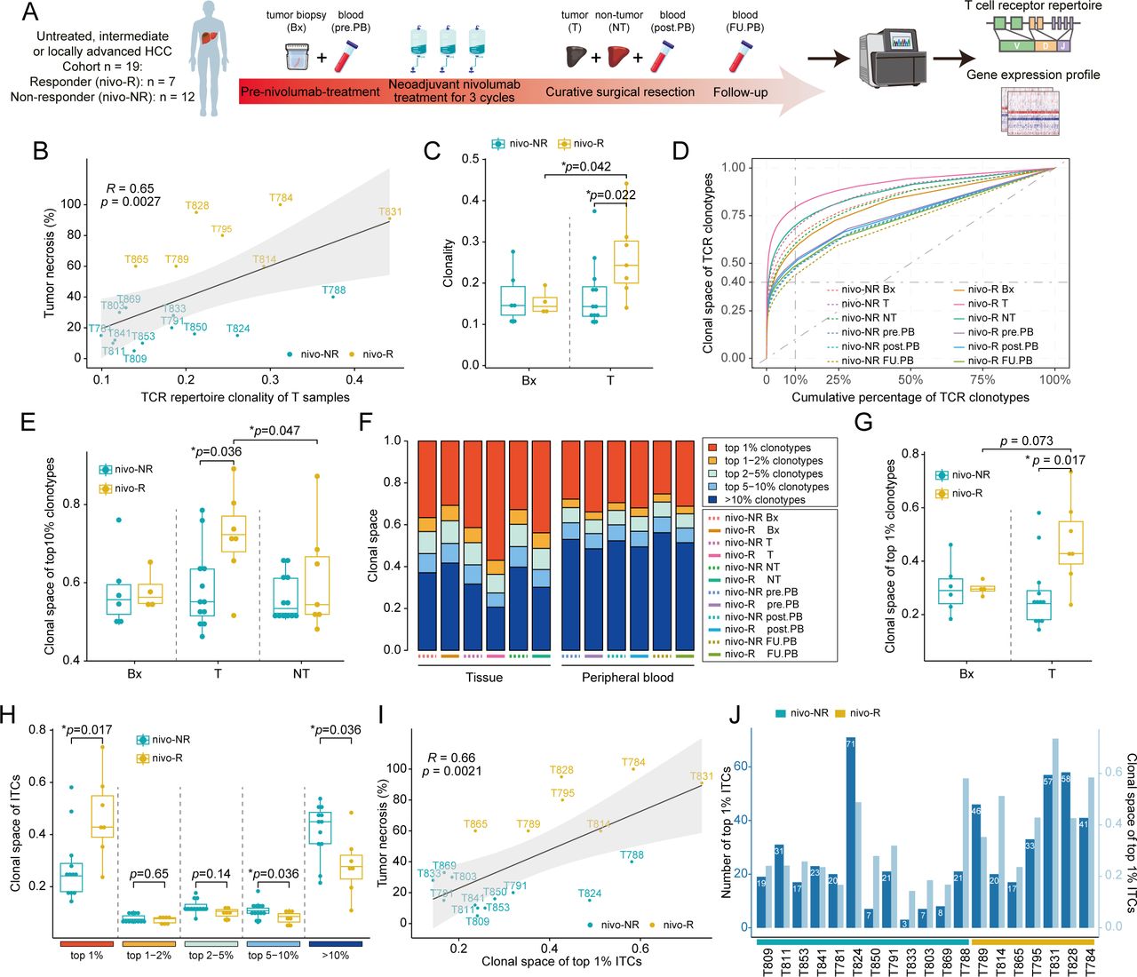 Spatiotemporal dynamics of T cells in peripheral blood and tumor underlying differential ...